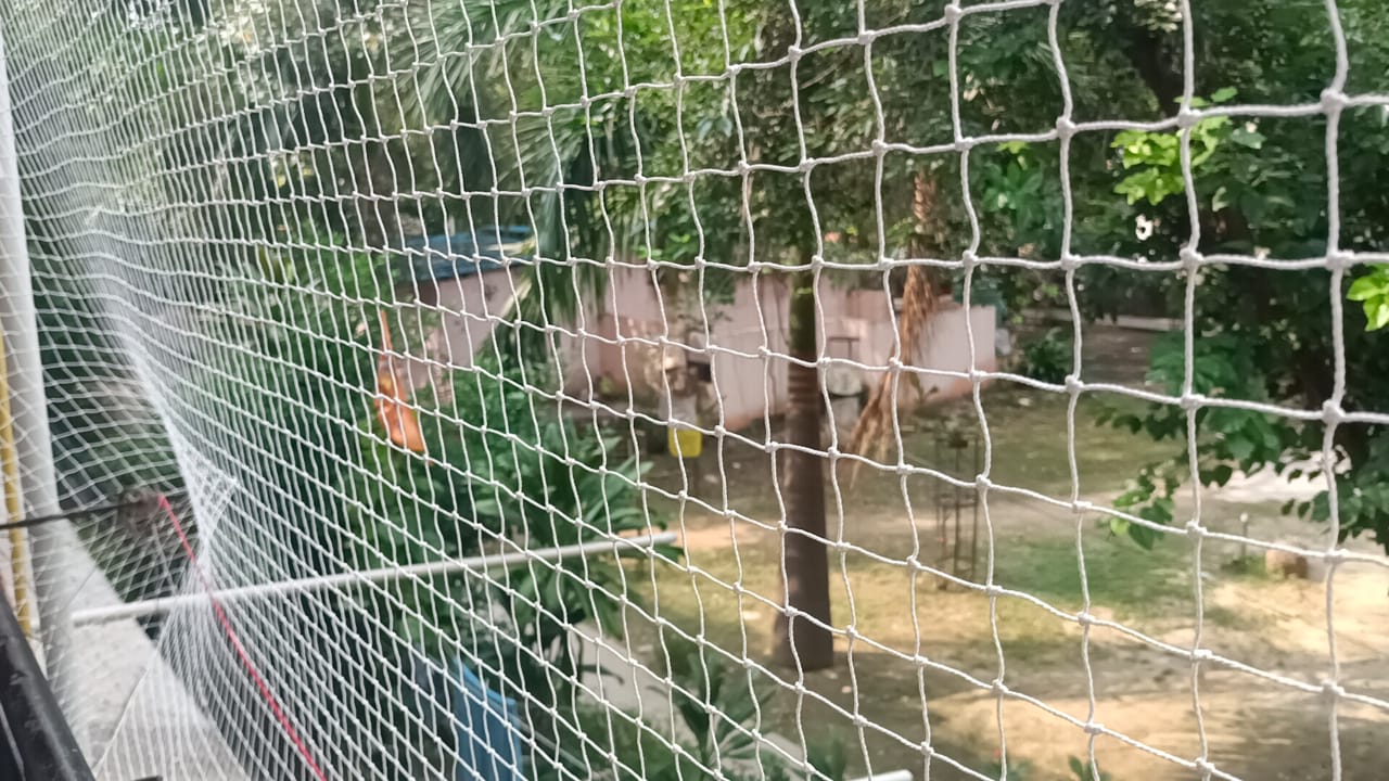 Anti Bird Nets | Master Bird Netting